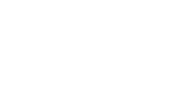 Landscaping in Atlanta & Watkinsville, GA | Executive Green | Outdoor ...